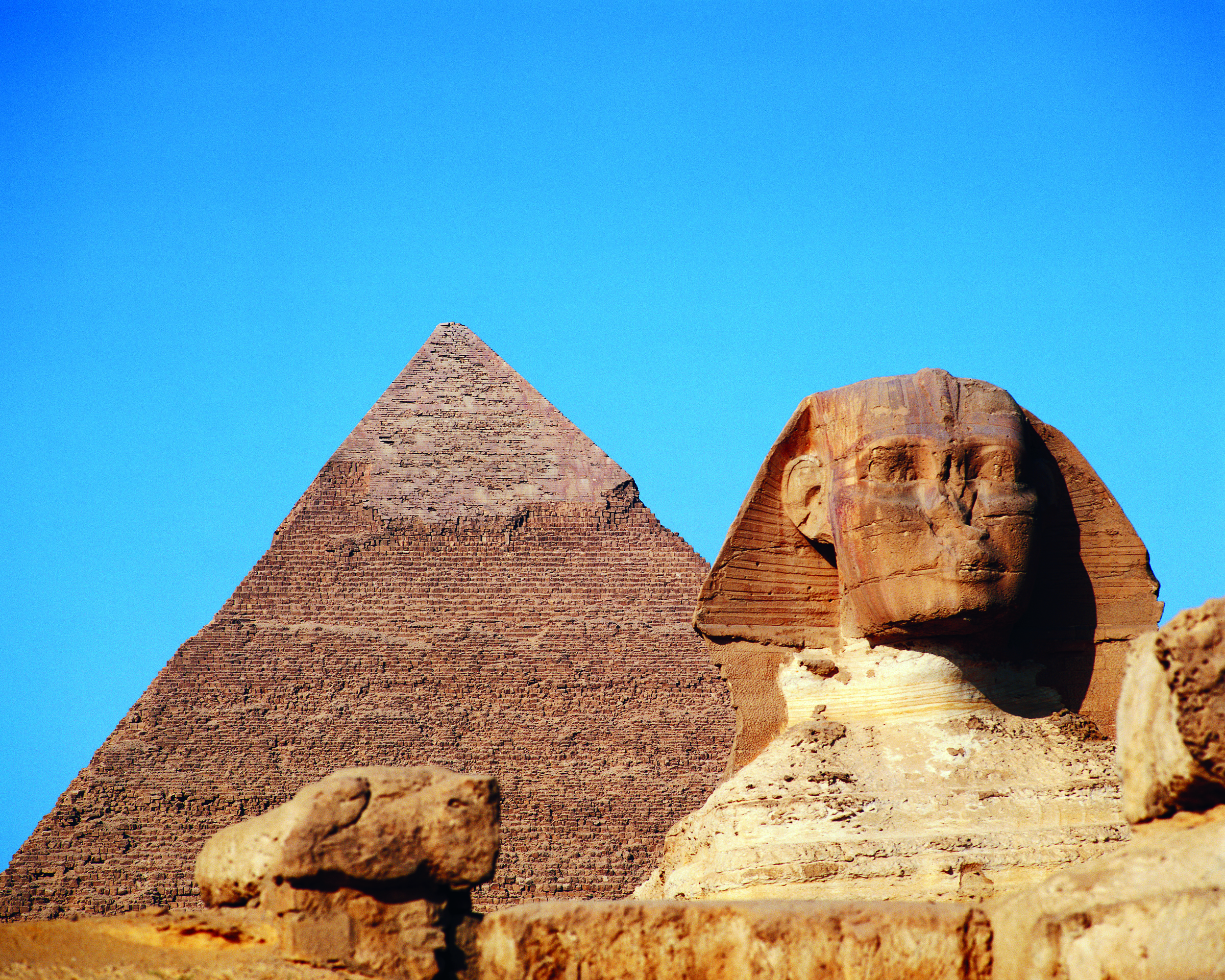 alumni.ua.edu – The University of Alabama Alumni Association | The ...